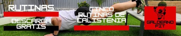 Flexiones Declinadas - Galdeano Fit